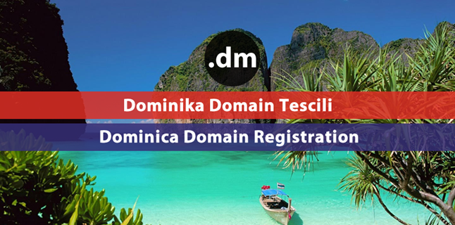 What is the meaning of TLD? Key points about gTLD - Atak Domain